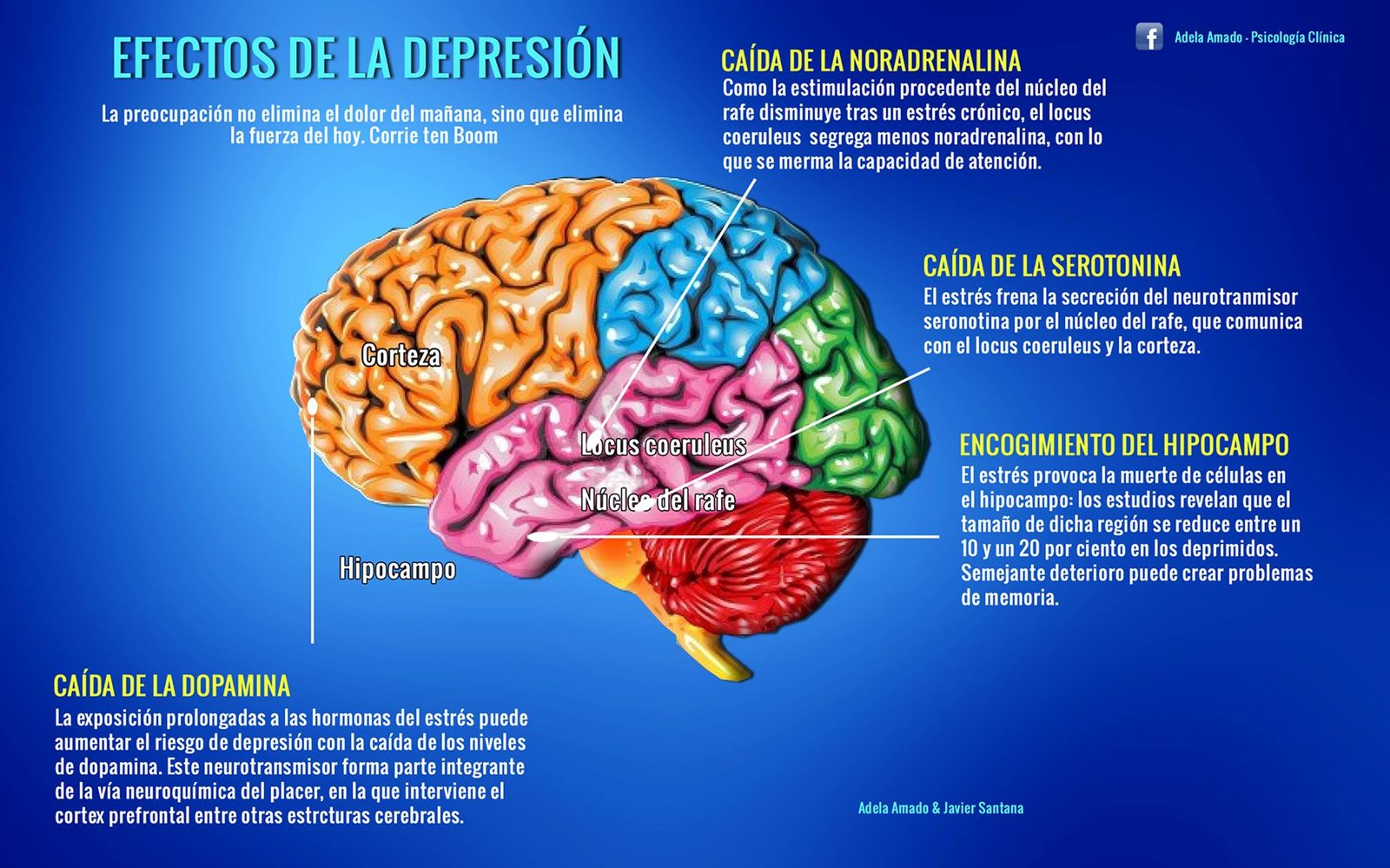 ¿Cómo se produce la depresión? – DEPRESIÒN